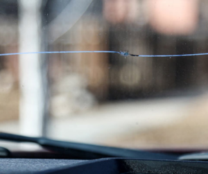 Windscreen Damage: Types and Repair Costs Explained - Clarus Protect